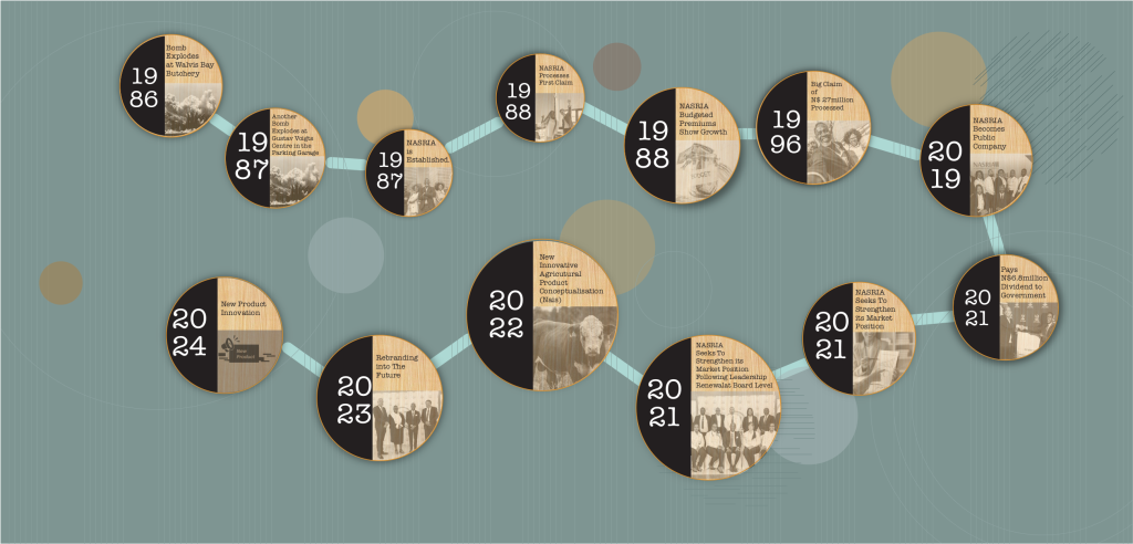 Namibia Special Risks Insurance Association